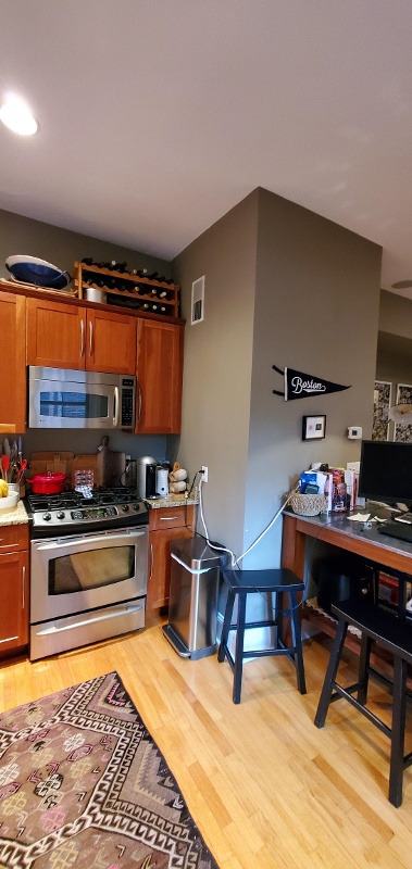 Case Study: Beautiful Boston Condo Remodel | Before and After Photos